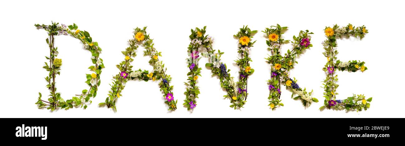 Flower And Blossom Letter Building Word Danke Means Thank You Stock ...
