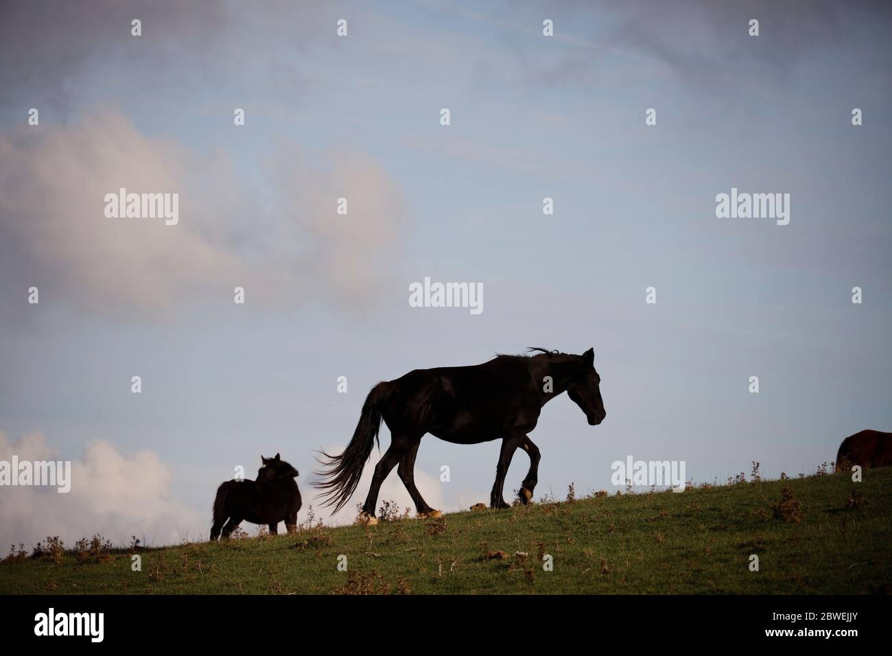 Mount subasio hi-res stock photography and images - Alamy