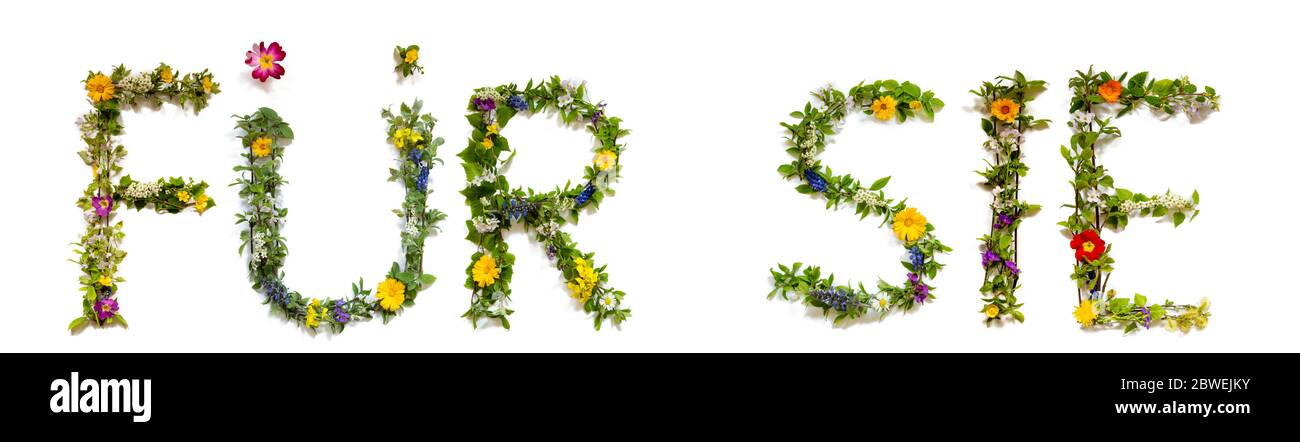 Flower And Blossom Letter Building Word Fuer Sie Means For You Stock Photo - Alamy