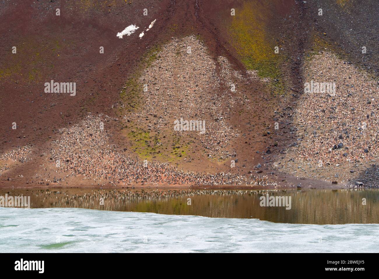 Colors of antarctica hi-res stock photography and images - Alamy