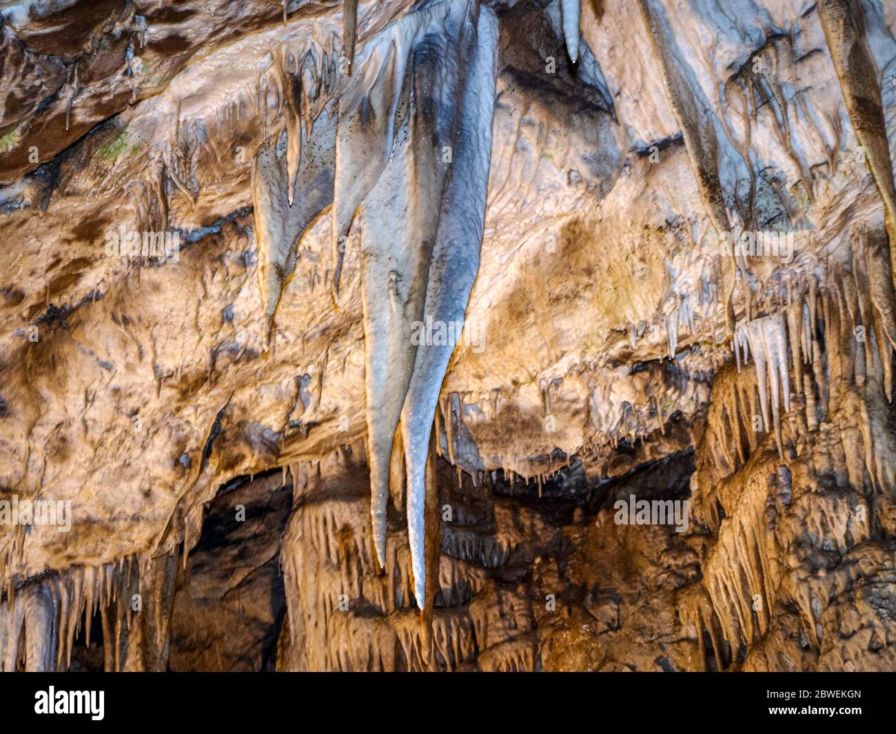 picture with colorful stalactites in the cave Stock Photo - Alamy