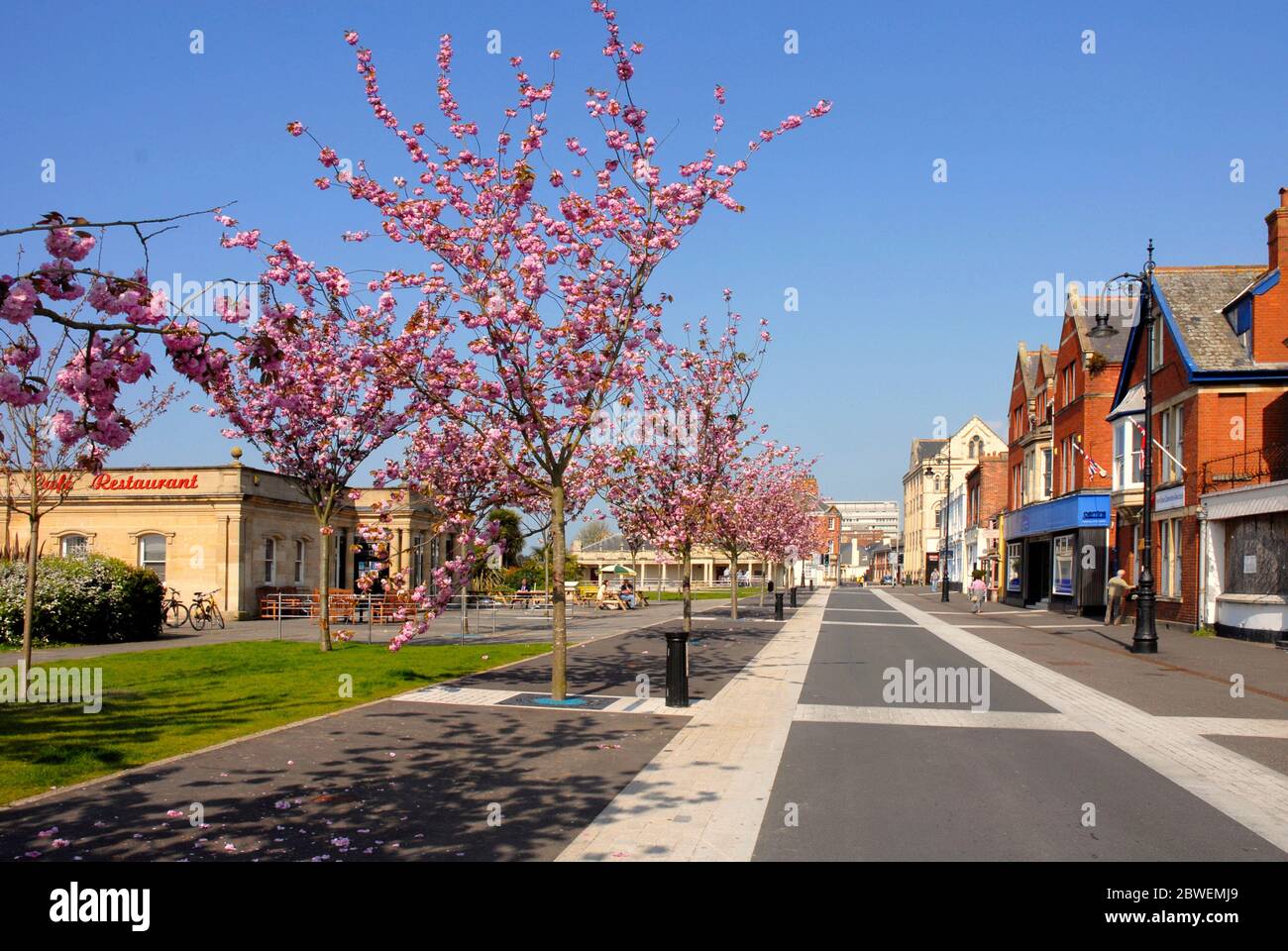 Strand of trees hi-res stock photography and images - Alamy