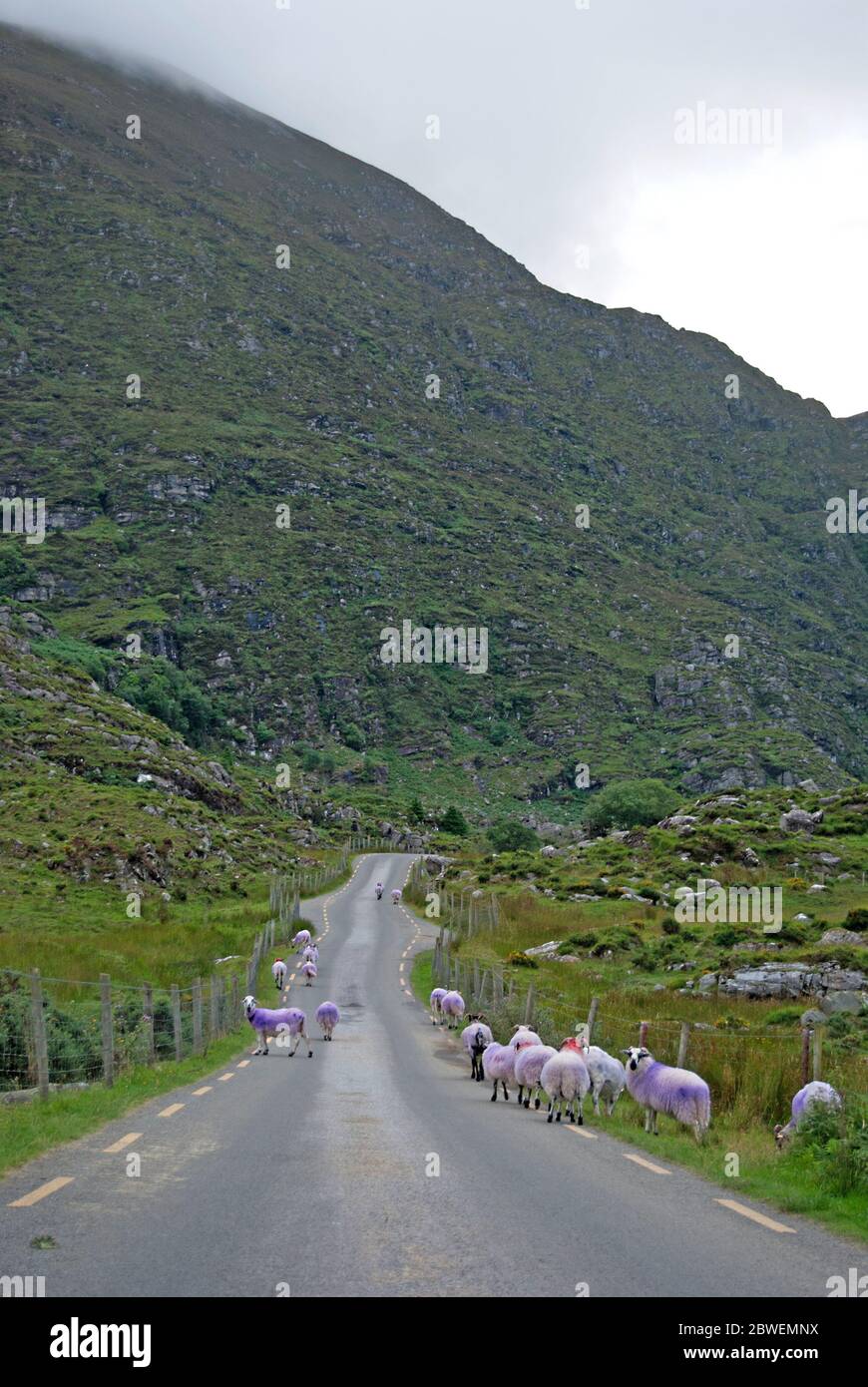 Irish road markings in hi-res stock photography and images - Alamy