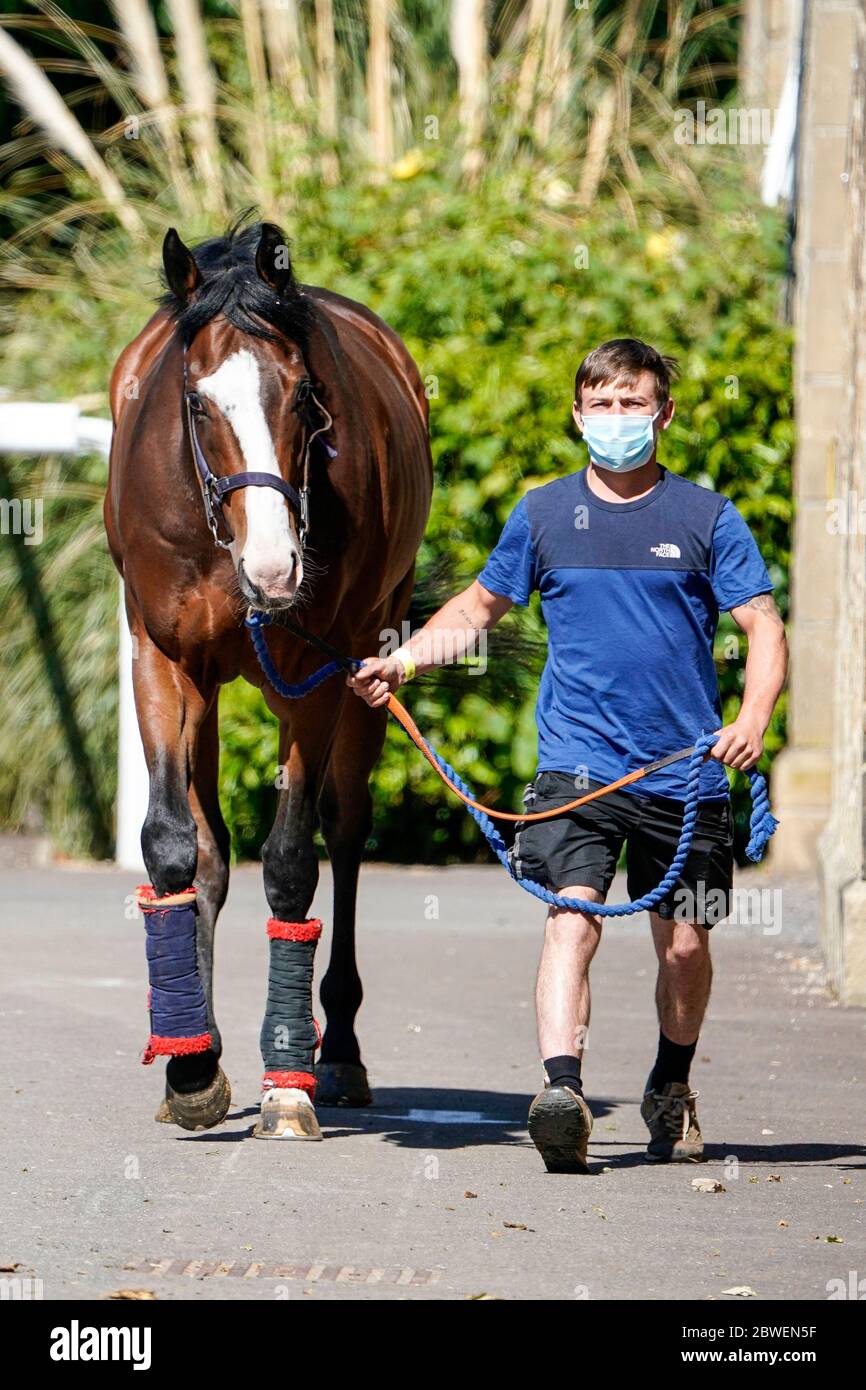 Racehorse stables hi-res stock photography and images - Alamy