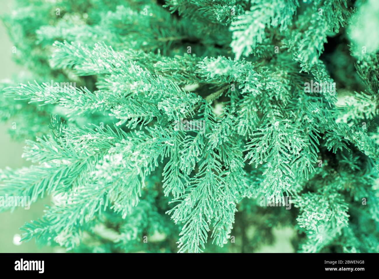 Plastic pine tree hi-res stock photography and images - Alamy