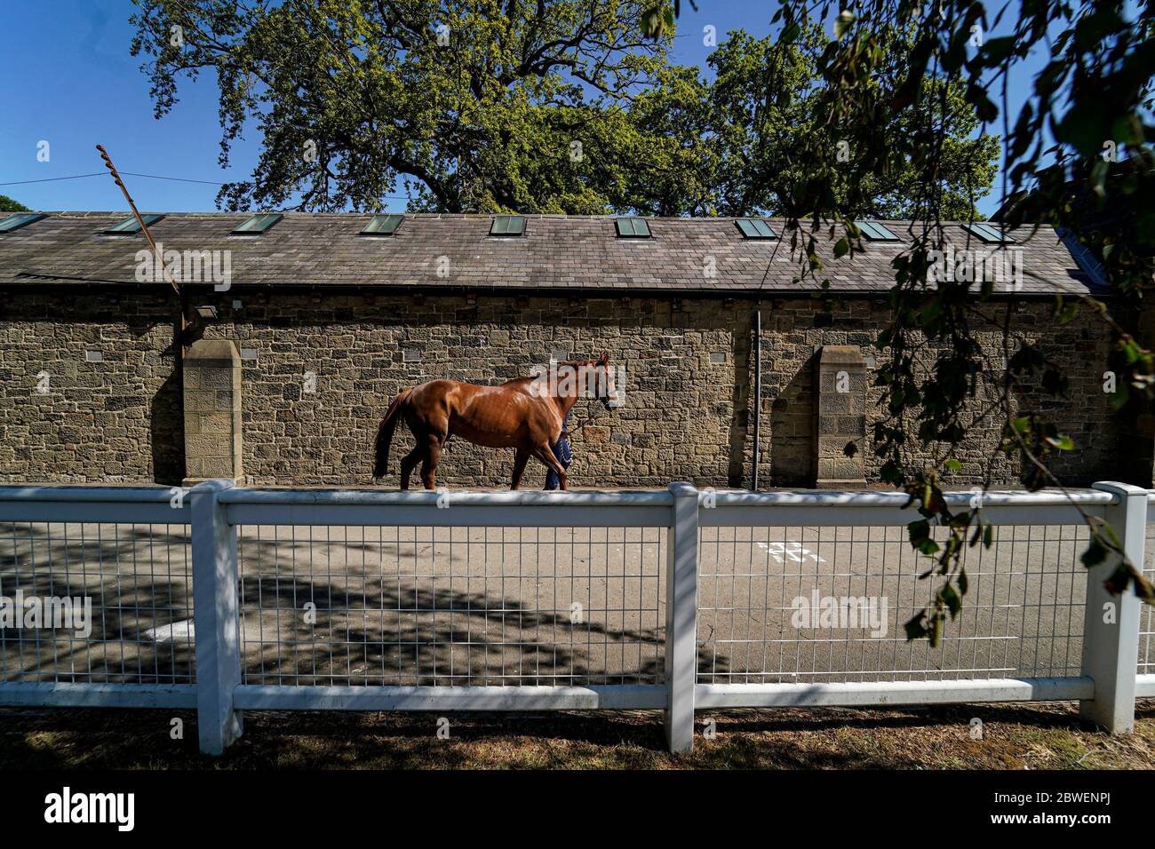 Arriving newcastle racecourse hi-res stock photography and images - Alamy
