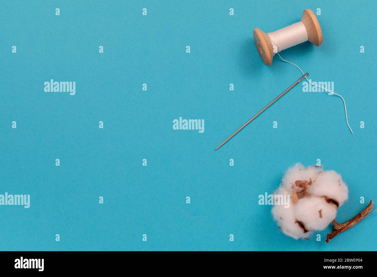 Cotton flowers, spool of thread and needle. Accessories for sewing. Top ...