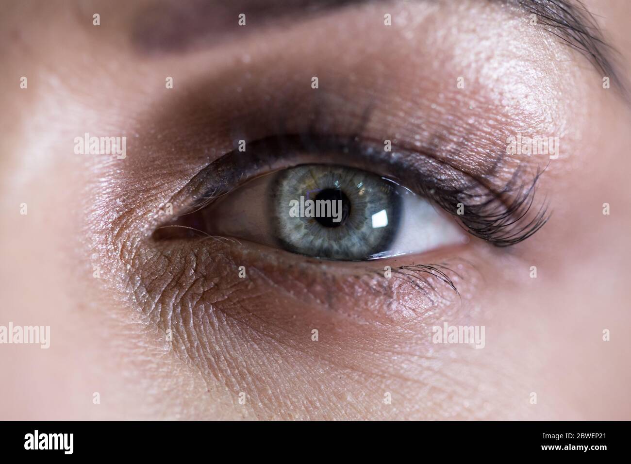 A close up of a persons eyes Stock Photo - Alamy