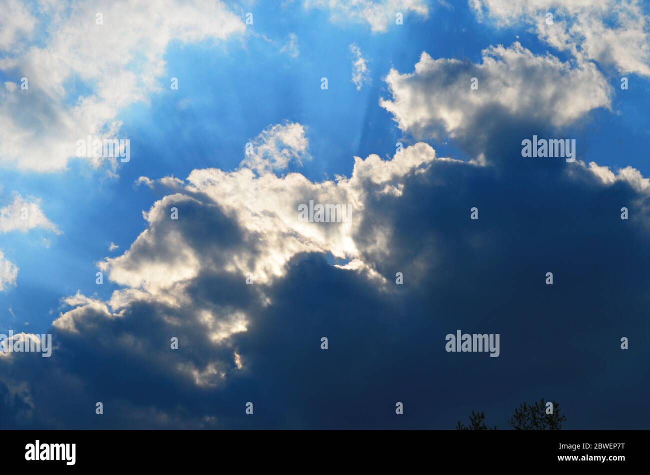 the sky above the trees in the forest Stock Photo - Alamy