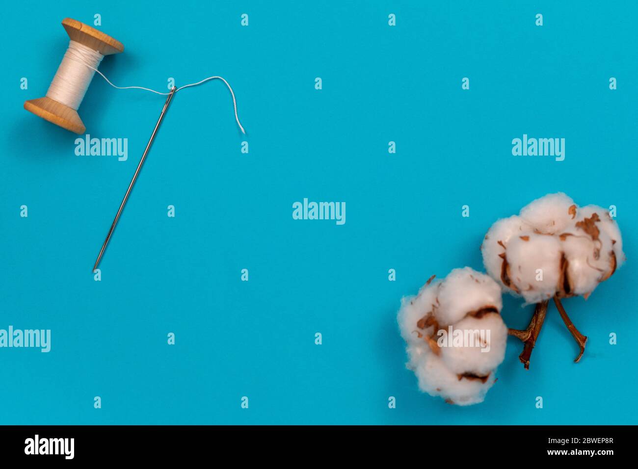 Needle and thread plant hi-res stock photography and images - Alamy