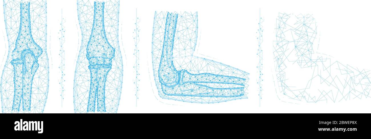 Human elbow joint polygonal vector illustration. Arm bones anatomy ...