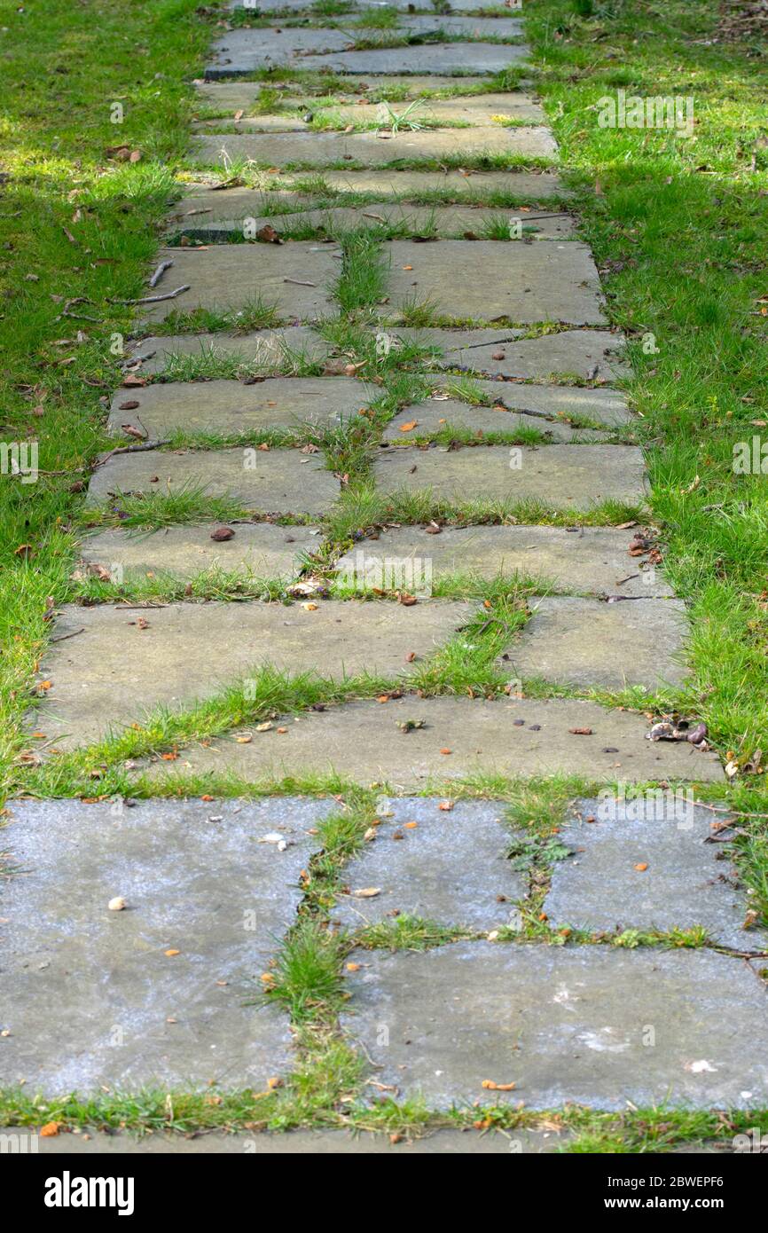 Close Up Walking Stone Path And Grass Stock Photo - Alamy