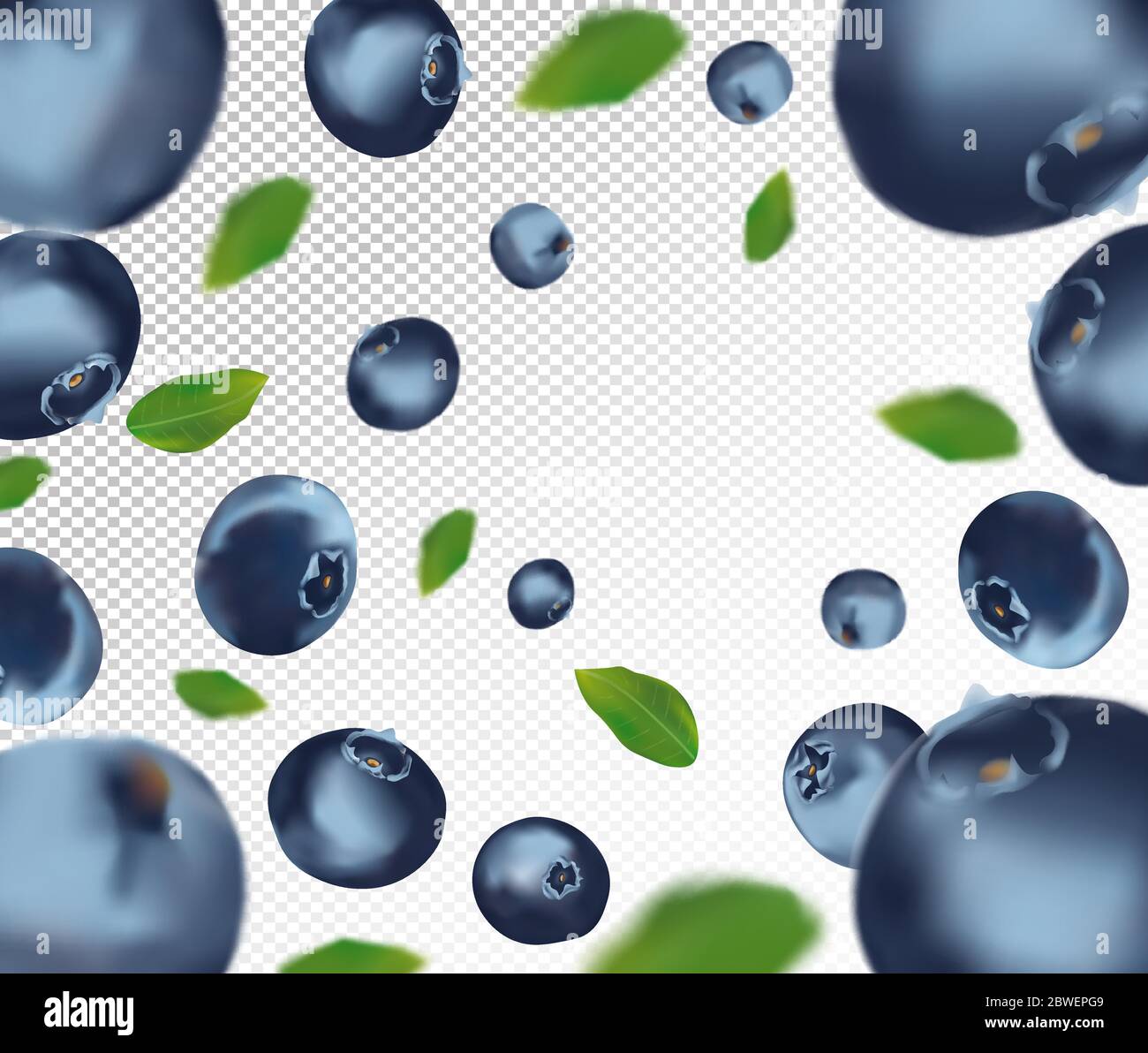 Blueberry background. Fresh blueberry with green leaf on transparent ...