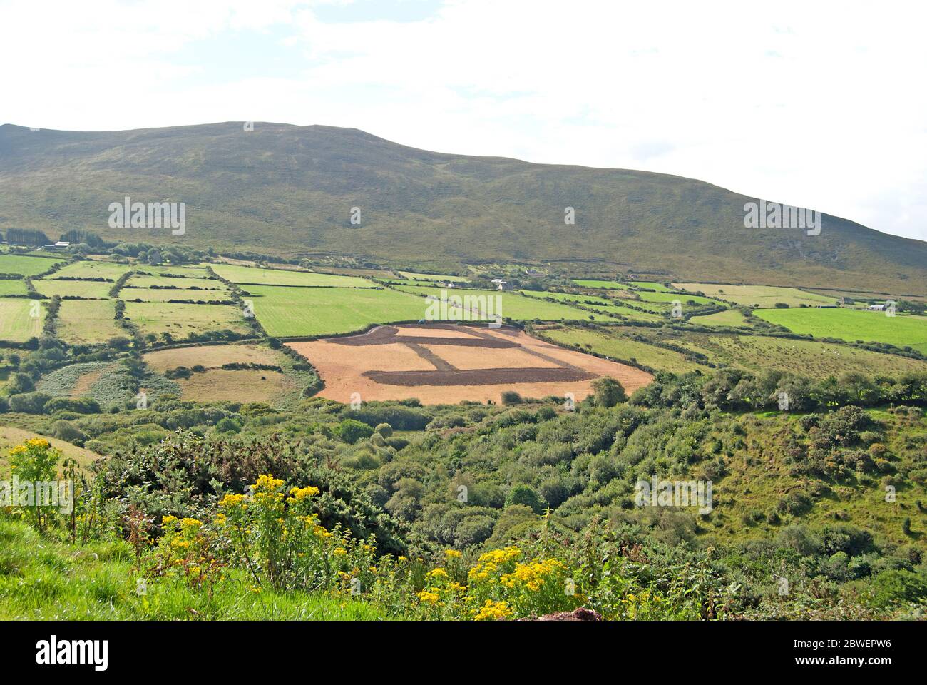 Lots of fields hi-res stock photography and images - Alamy