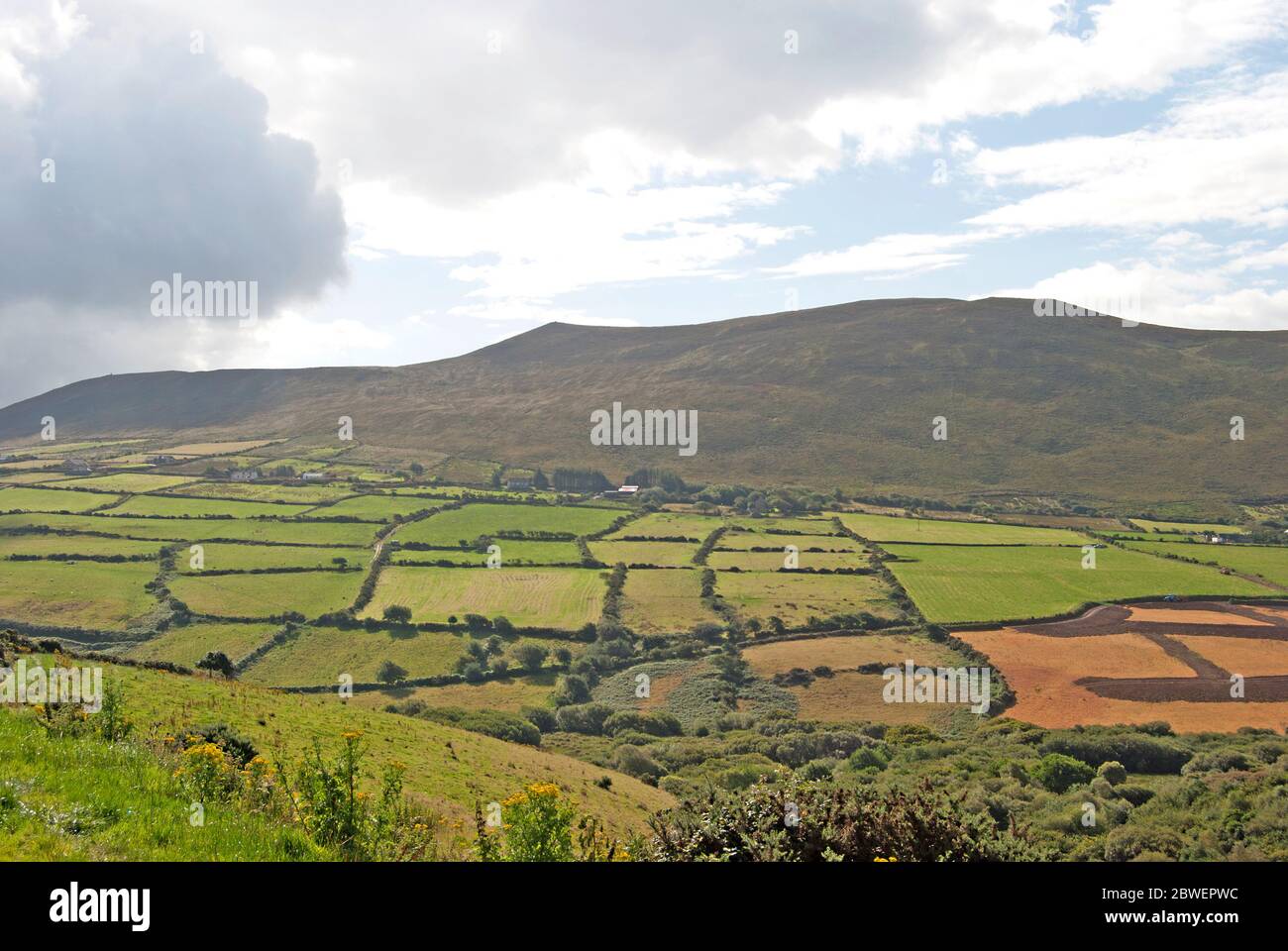 Green landscape with lots of fields, Ireland Stock Photo - Alamy