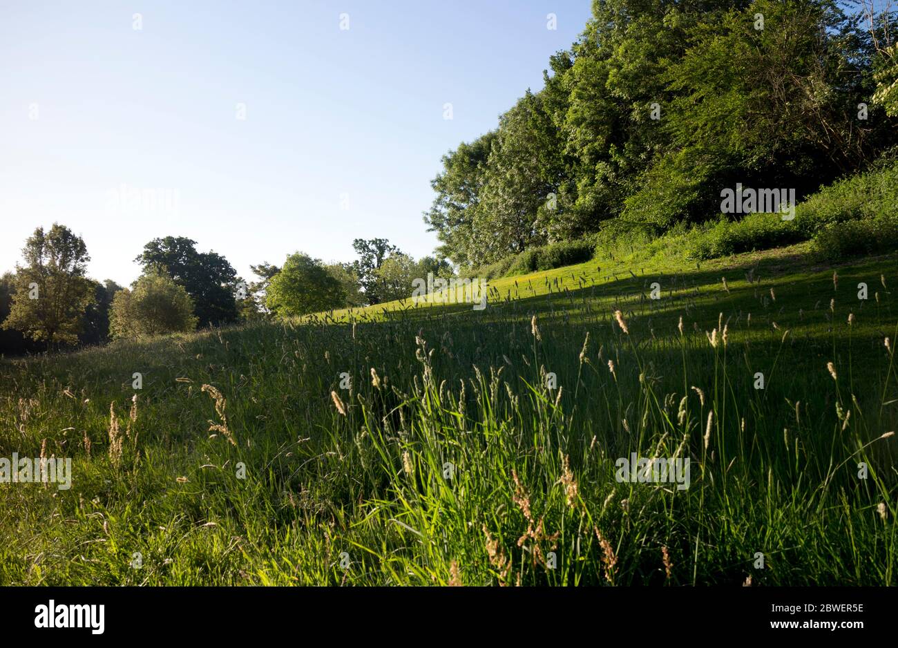 Priory Park in summer, Warwick, Warwickshire, England, UK Stock Photo ...