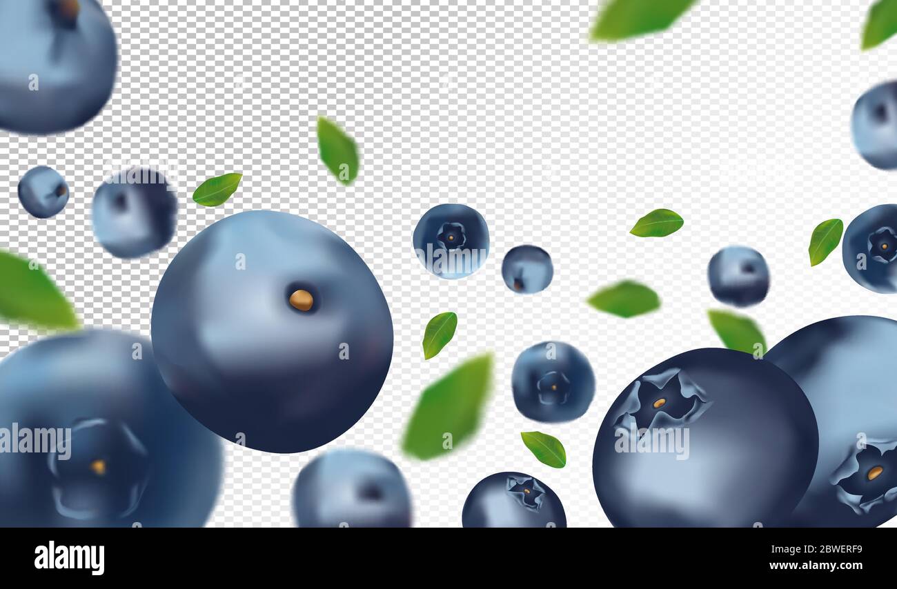 Blueberry background. Fresh blueberry with green leaf on transparent ...