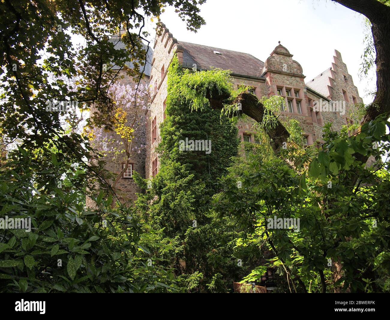 Botanical garden (Gießen, Germany Stock Photo - Alamy