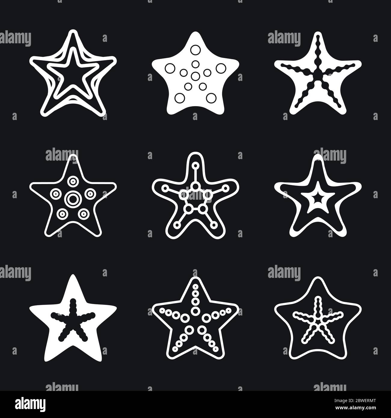 Starfish Icon