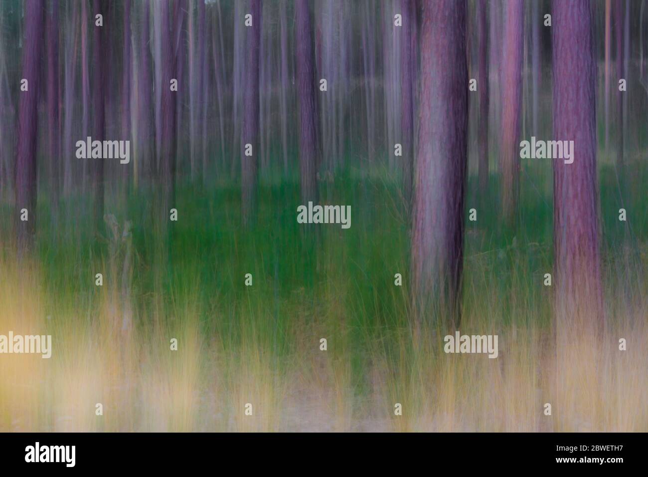 Intentional camera motion hi-res stock photography and images - Alamy