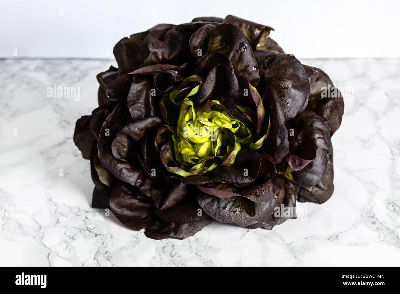 Ingredient photography above marble hi-res stock photography and images ...