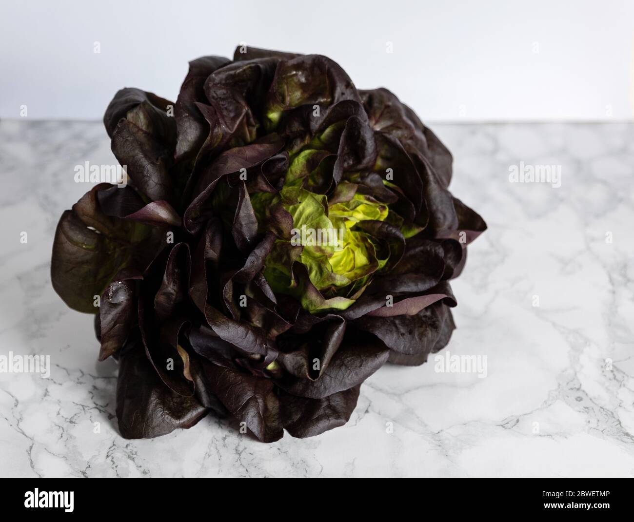 Ingredient photography above marble hi-res stock photography and images ...