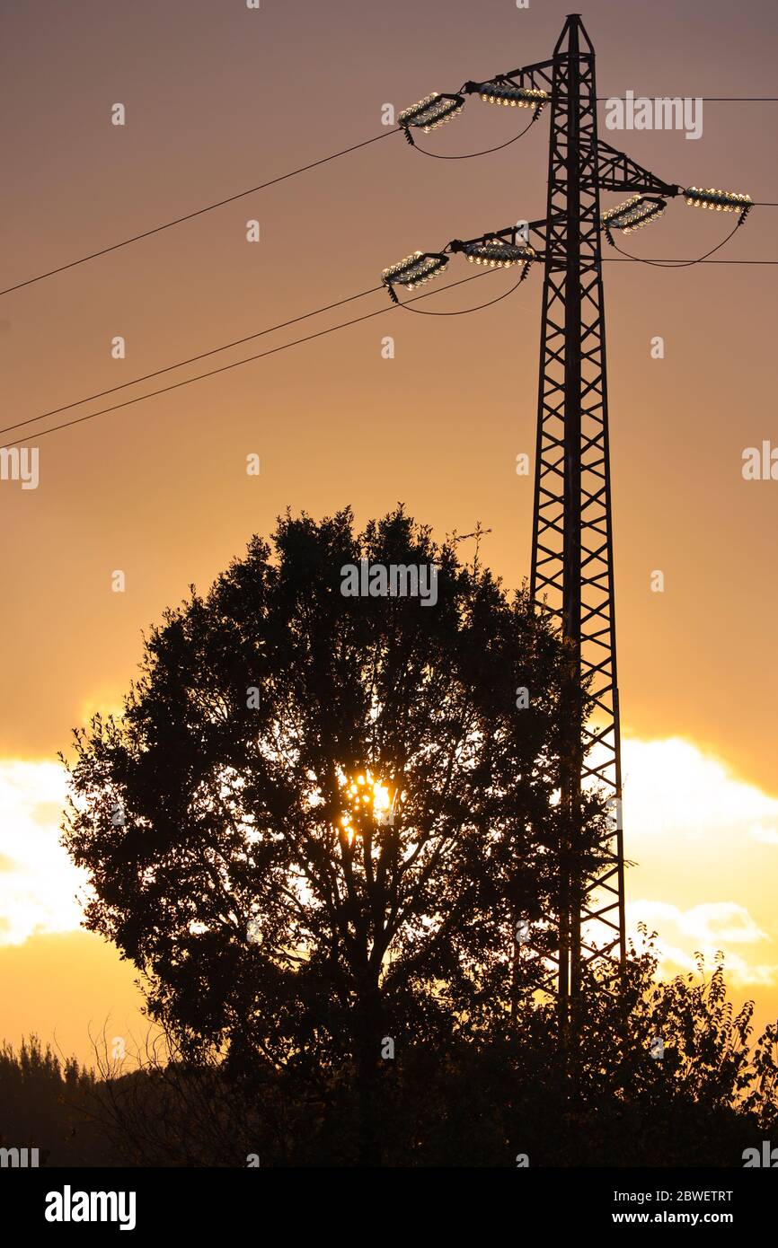 a high-voltage pylon and a tree caught in backlight against the ...