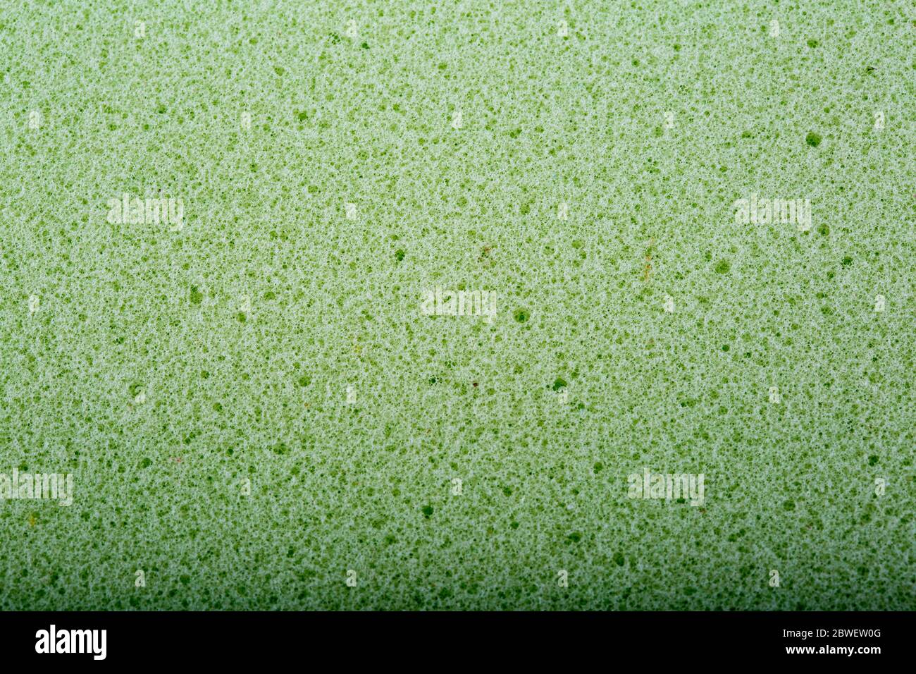 Seamless porous sponge texture hi-res stock photography and images - Alamy