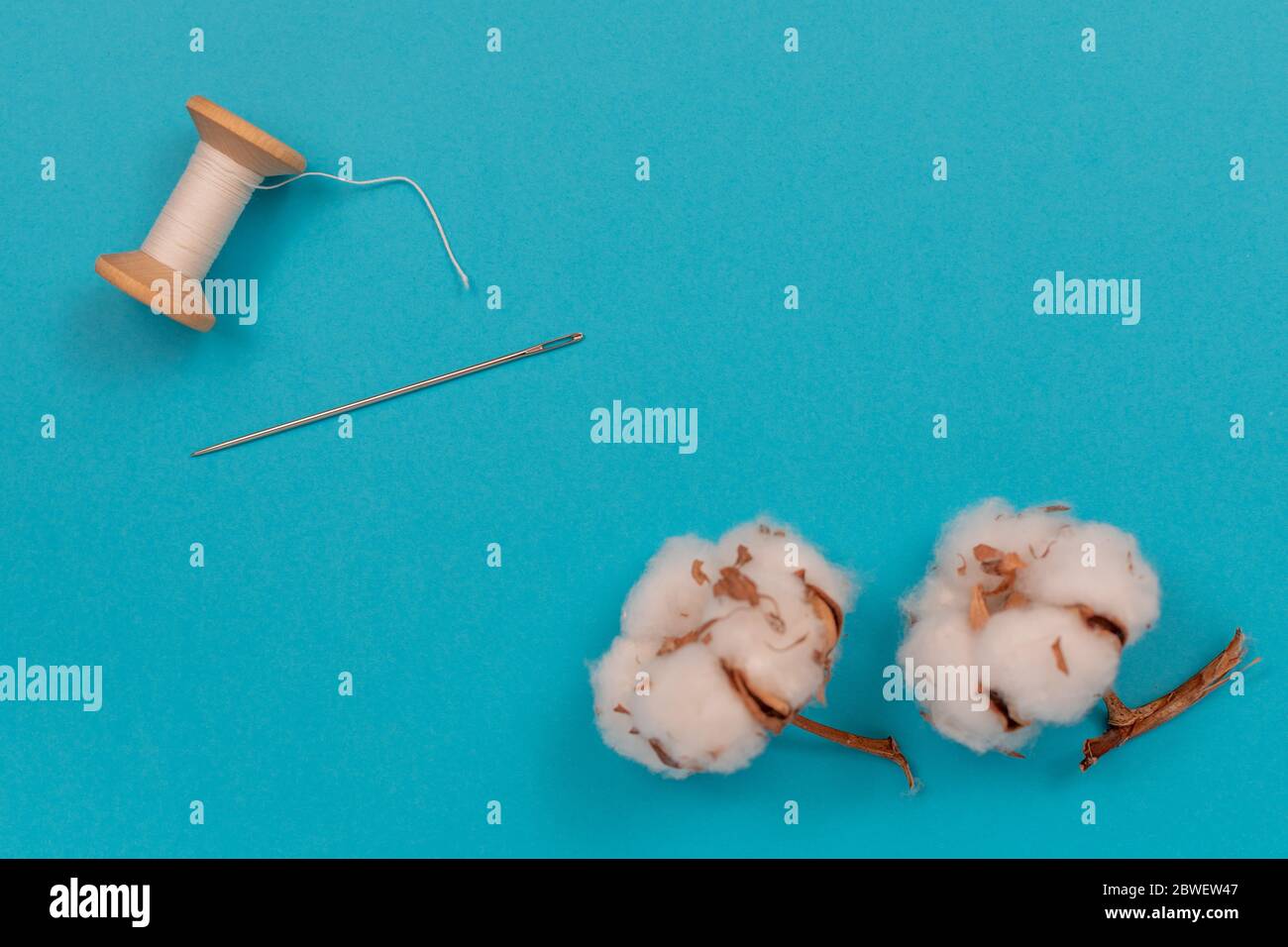 Cotton flowers, spool of thread and needle. Accessories for sewing. Top ...