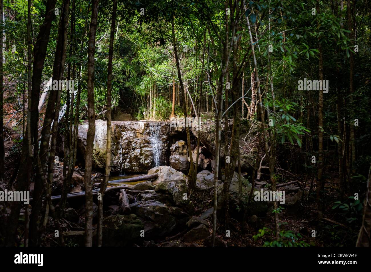 Summer landscape on tropical Phu Quoc island in Vietnam. Beautiful ...