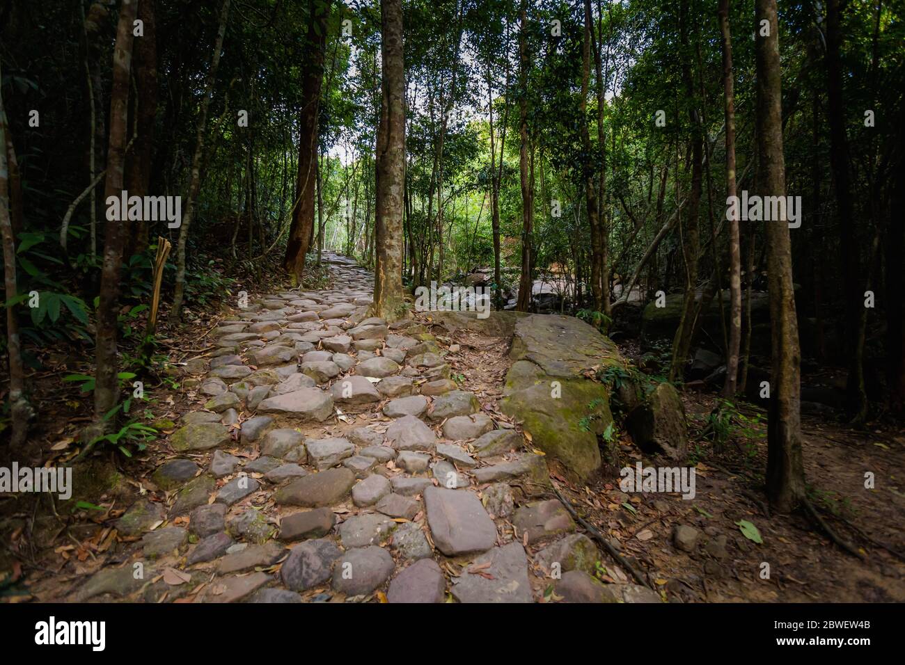 Summer landscape on tropical Phu Quoc island in Vietnam. Beautiful ...
