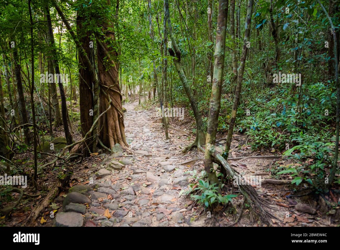 Summer landscape on tropical Phu Quoc island in Vietnam. Beautiful ...