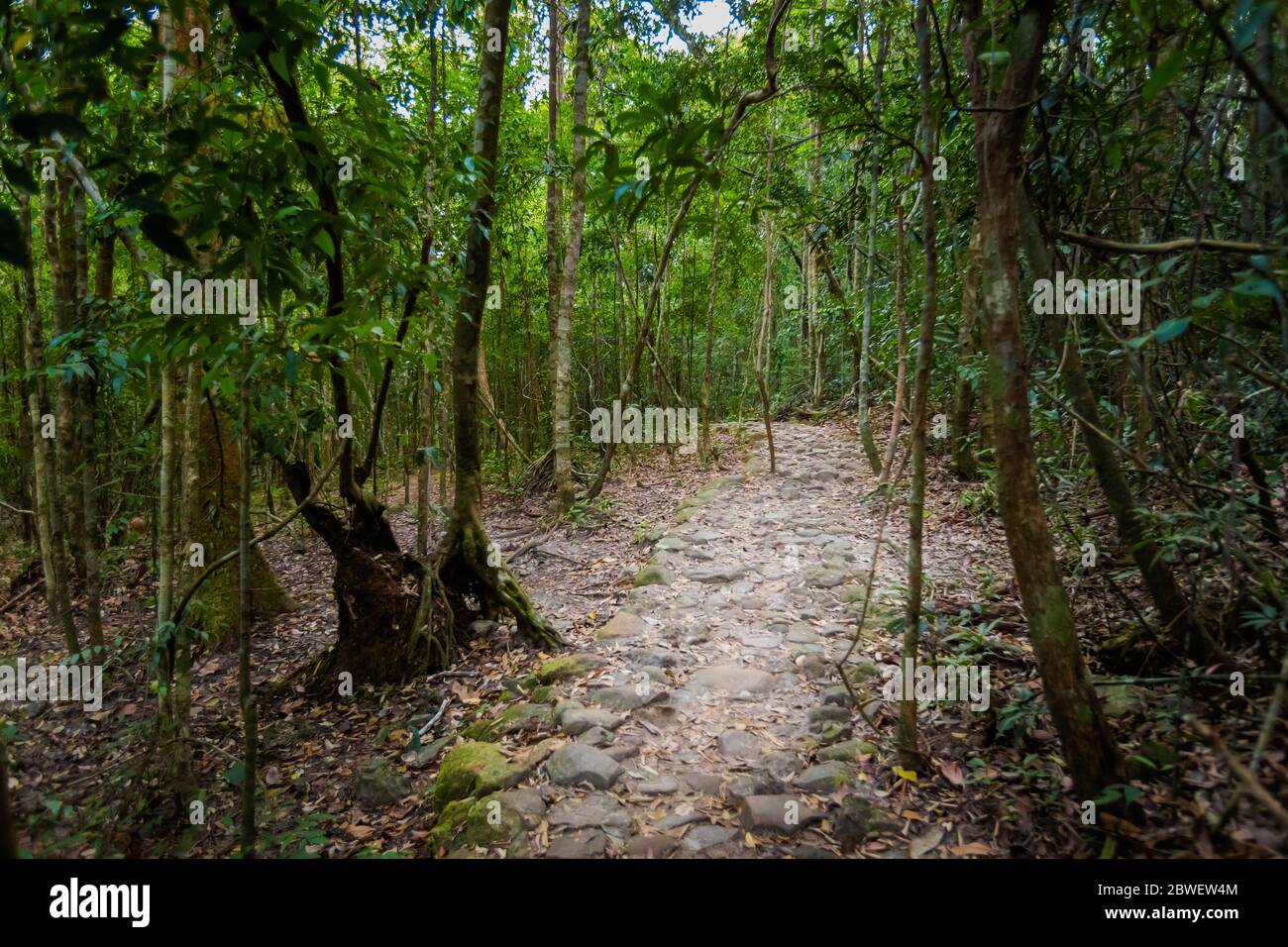 Summer landscape on tropical Phu Quoc island in Vietnam. Beautiful ...