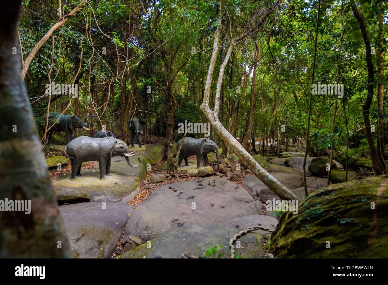 Summer landscape on tropical Phu Quoc island in Vietnam. Beautiful ...
