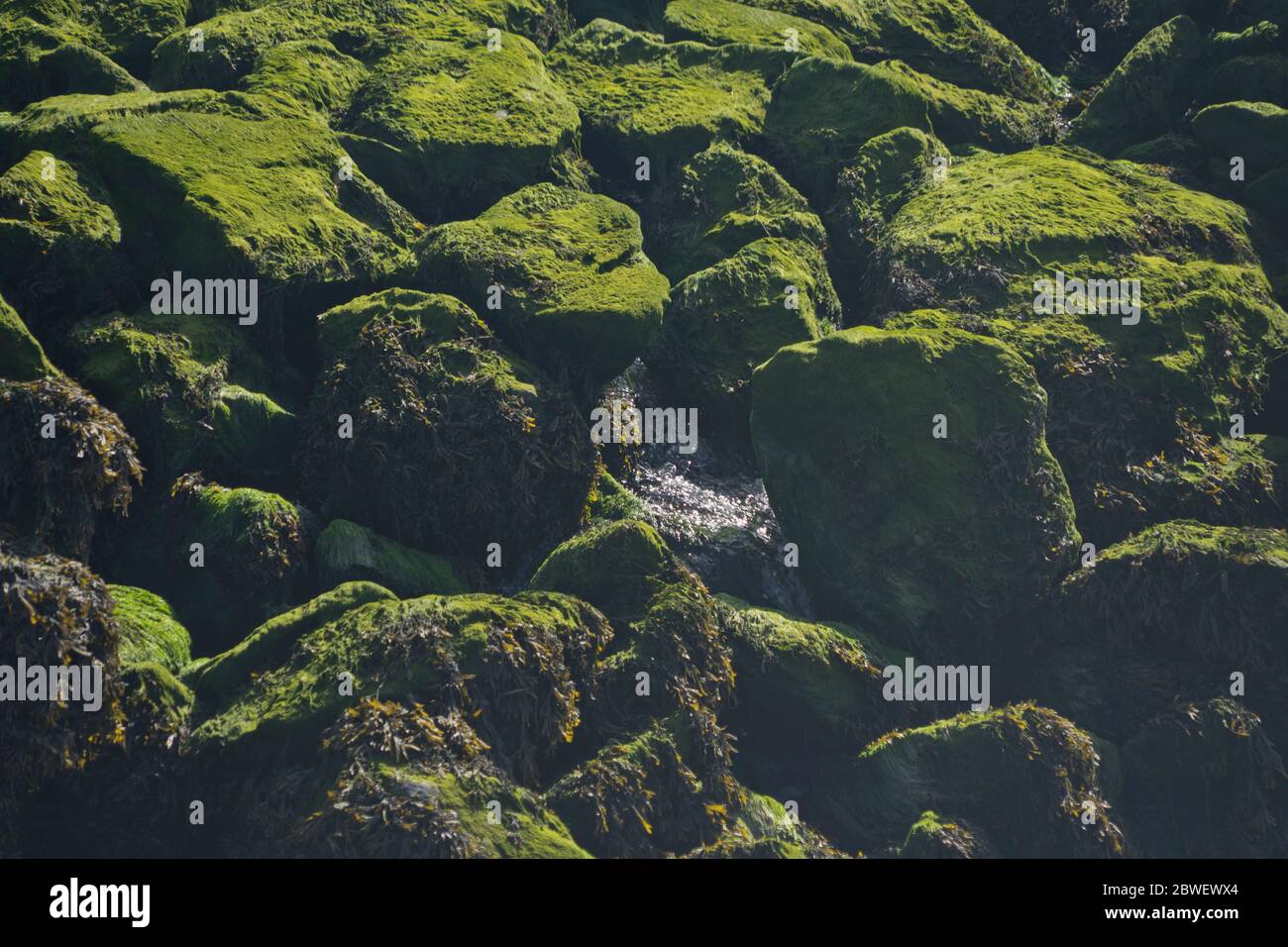 Waterfalls by the Cwm Rheidol Reservoir in Ceredigion,Wales,UK Stock ...