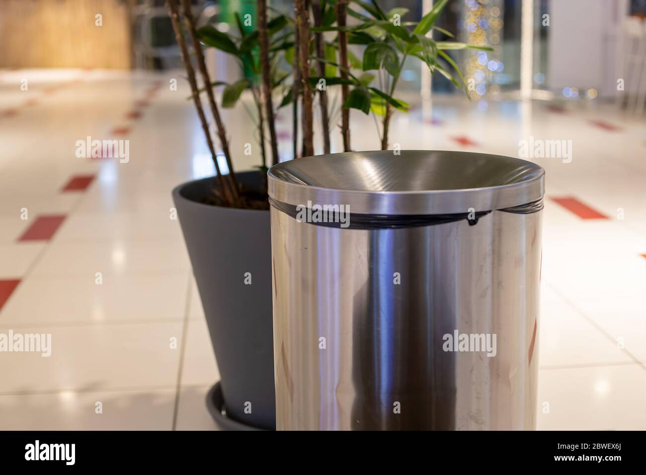 close-up steel cylinder bin litter bin. near in blur a plant in a gray ...