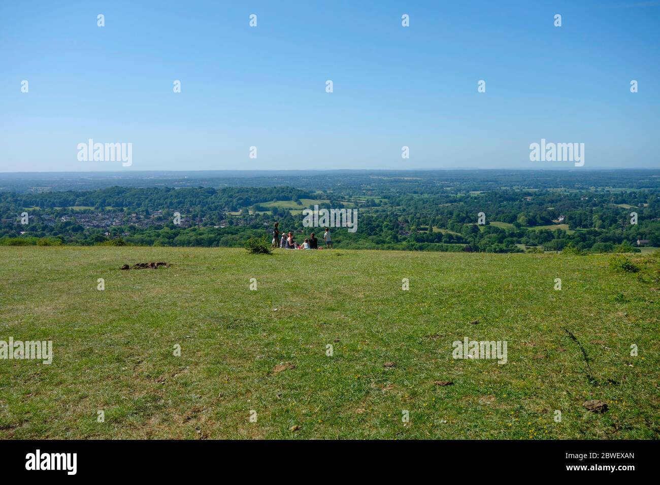 National trust reigate hill trail hi-res stock photography and images ...