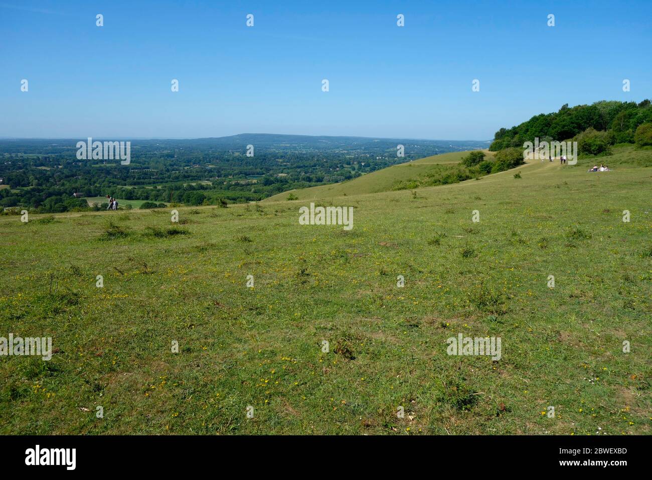 Reigate hill trail hi-res stock photography and images - Alamy