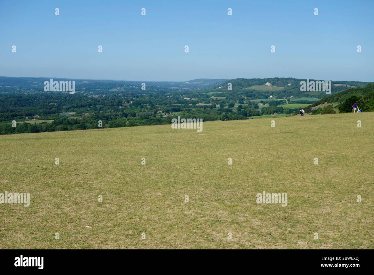 National trust reigate hill trail hi-res stock photography and images ...