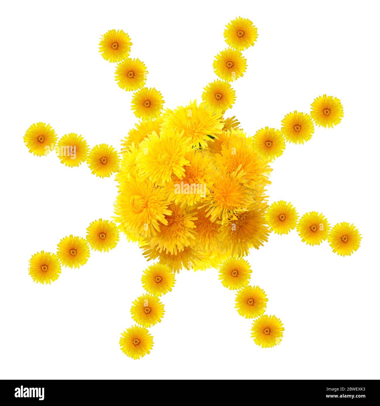 White background with vignette Cut Out Stock Images & Pictures - Alamy