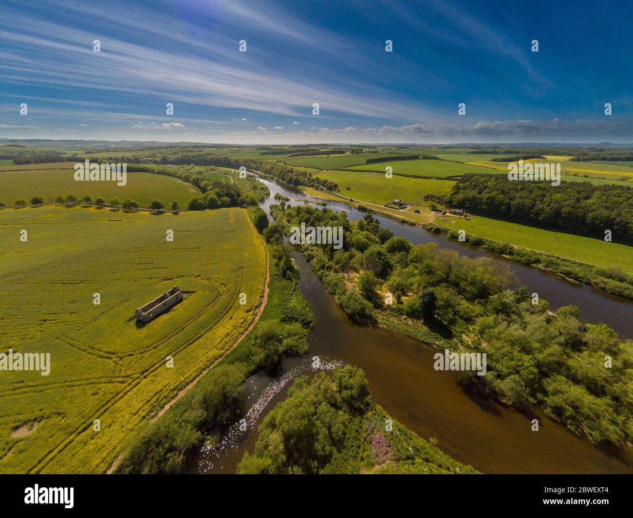 The River Tweed near Tillmouth on the lower reaches of the river where ...