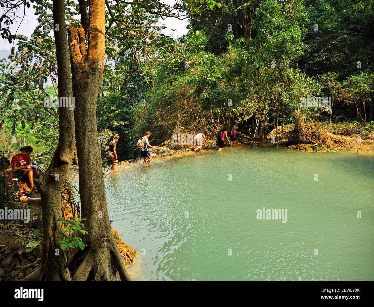 The pool in the jungle, Laos Stock Photo - Alamy