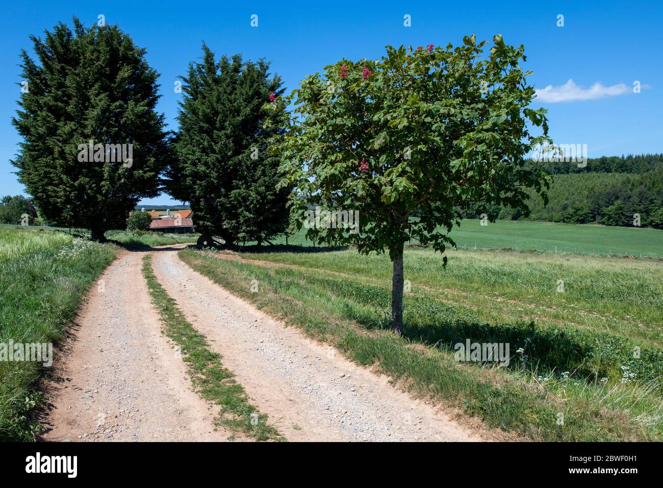 Howardian hills hi-res stock photography and images - Alamy