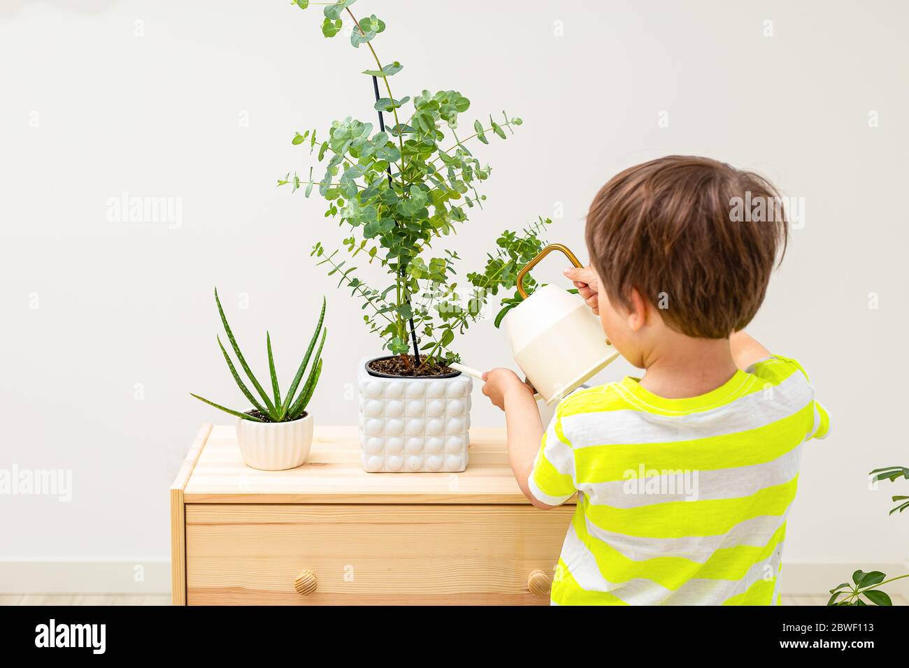 Boy watering home flowers from a watering can. Home garden Stock Photo ...