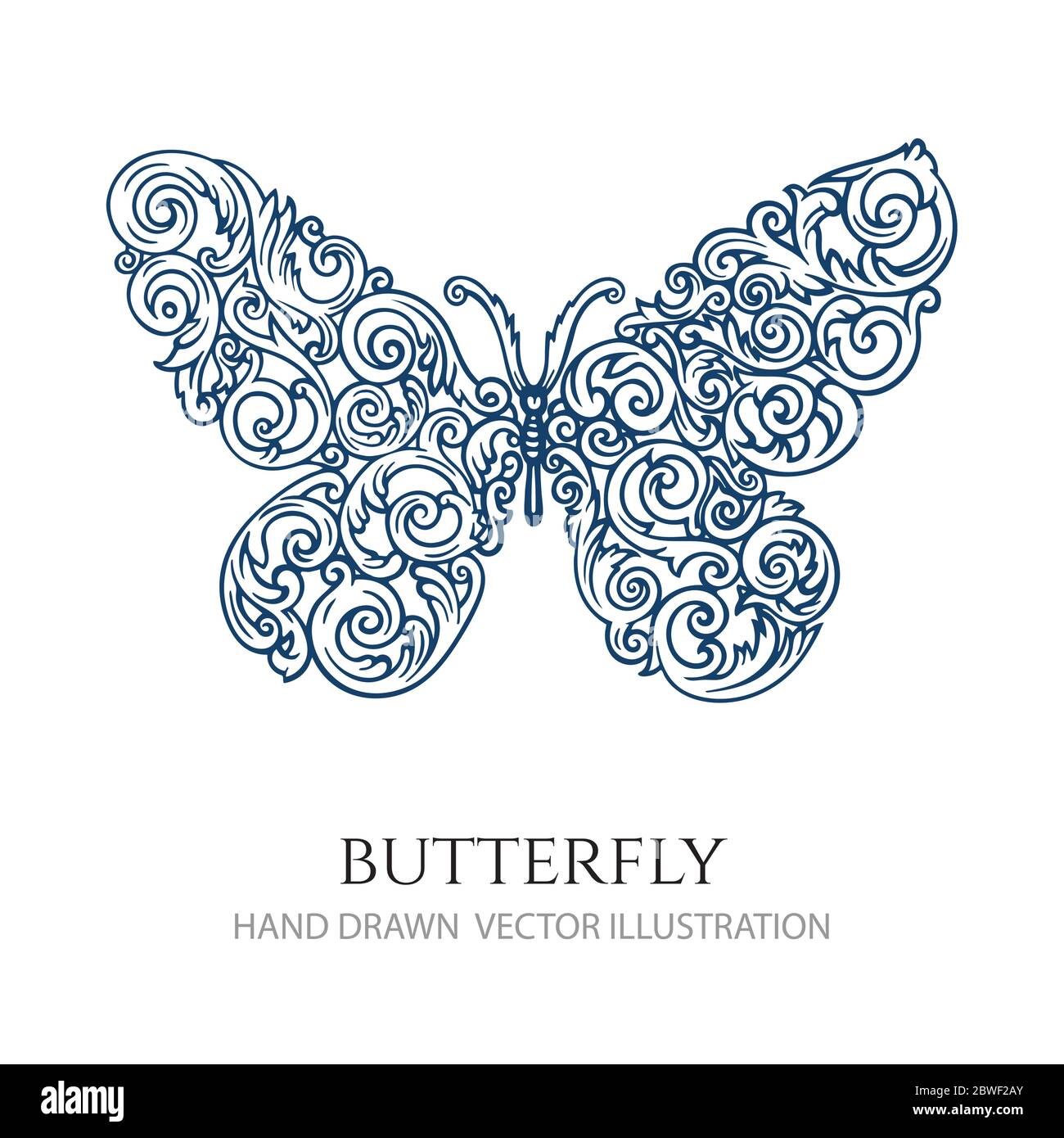 Butterfly. Butterfly with floral ornaments. Hand drawn butterfly vector ...