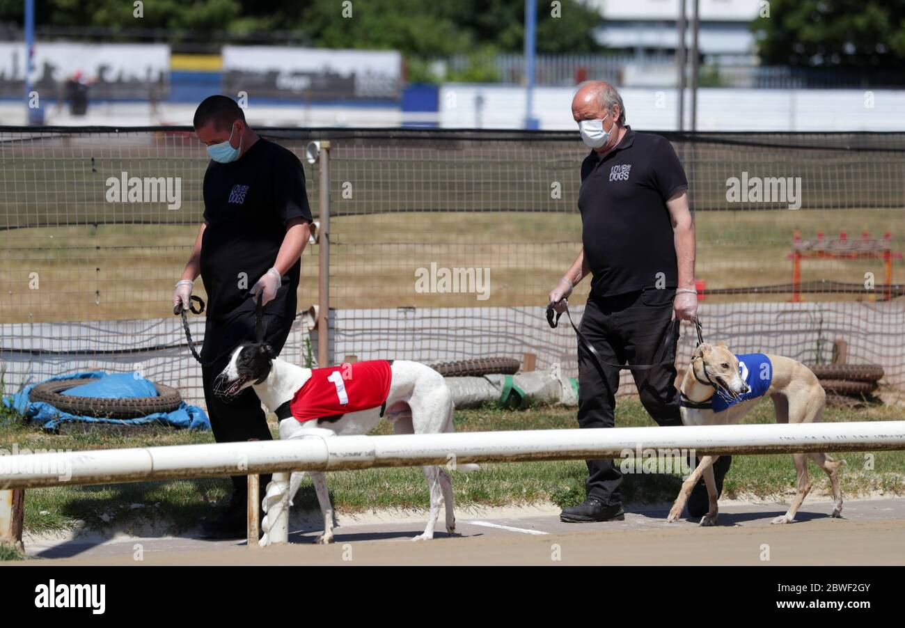 Greyhounds are brought to the track for the 12:51 race at Perry Barr ...