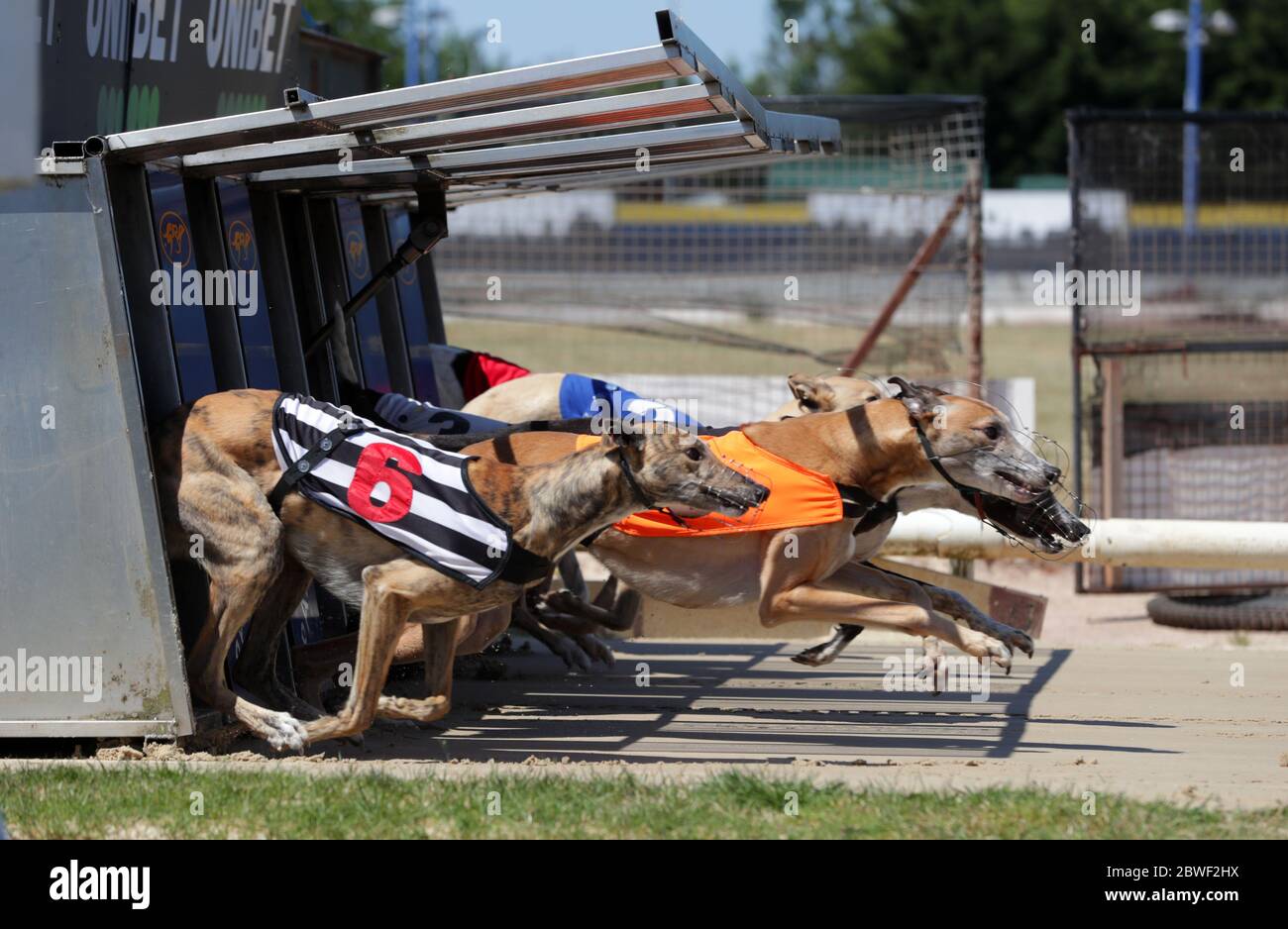 51 race perry barr greyhound stadium hi-res stock photography and ...