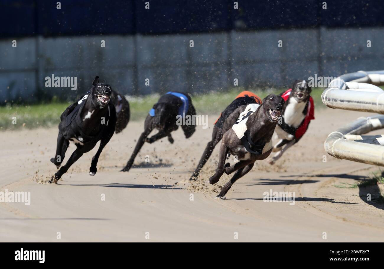 Perry barr greyhound stadium hi-res stock photography and images - Alamy