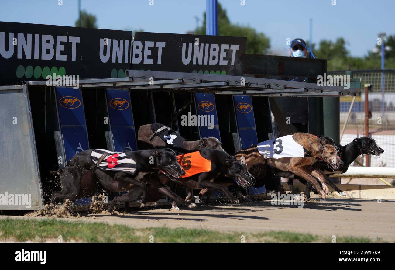 Perry barr greyhound racing hi-res stock photography and images - Alamy