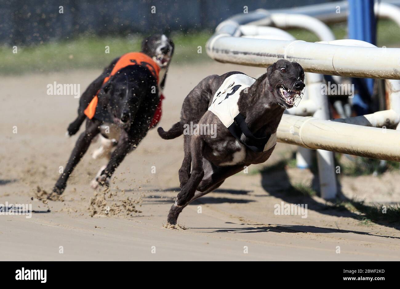 Im Sophie leads round a bend during the 10:21 race at Perry Barr ...